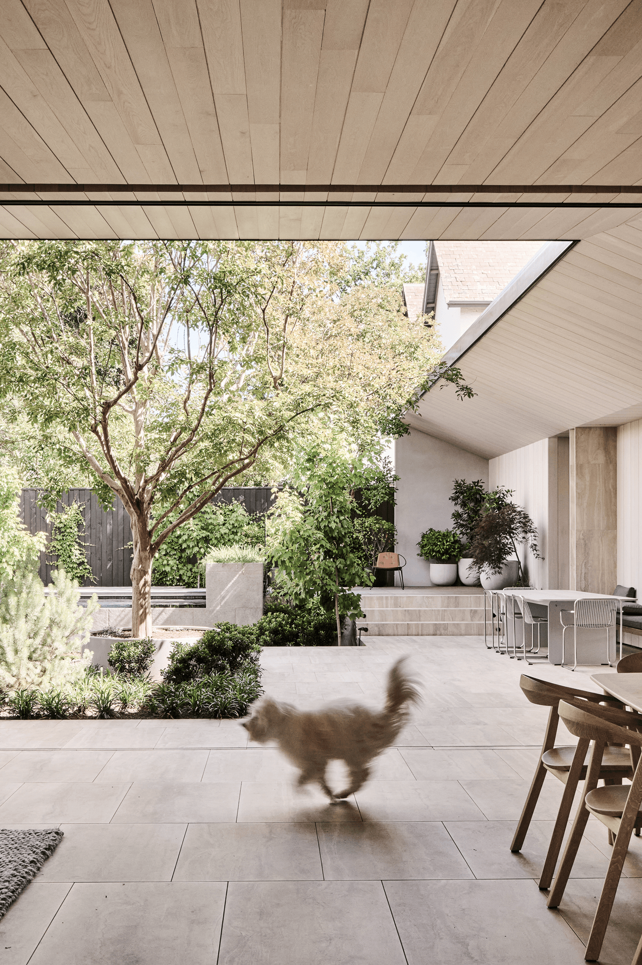 Butterfly House by Neil Architecture and Eco Outdoor | Eco Outdoor