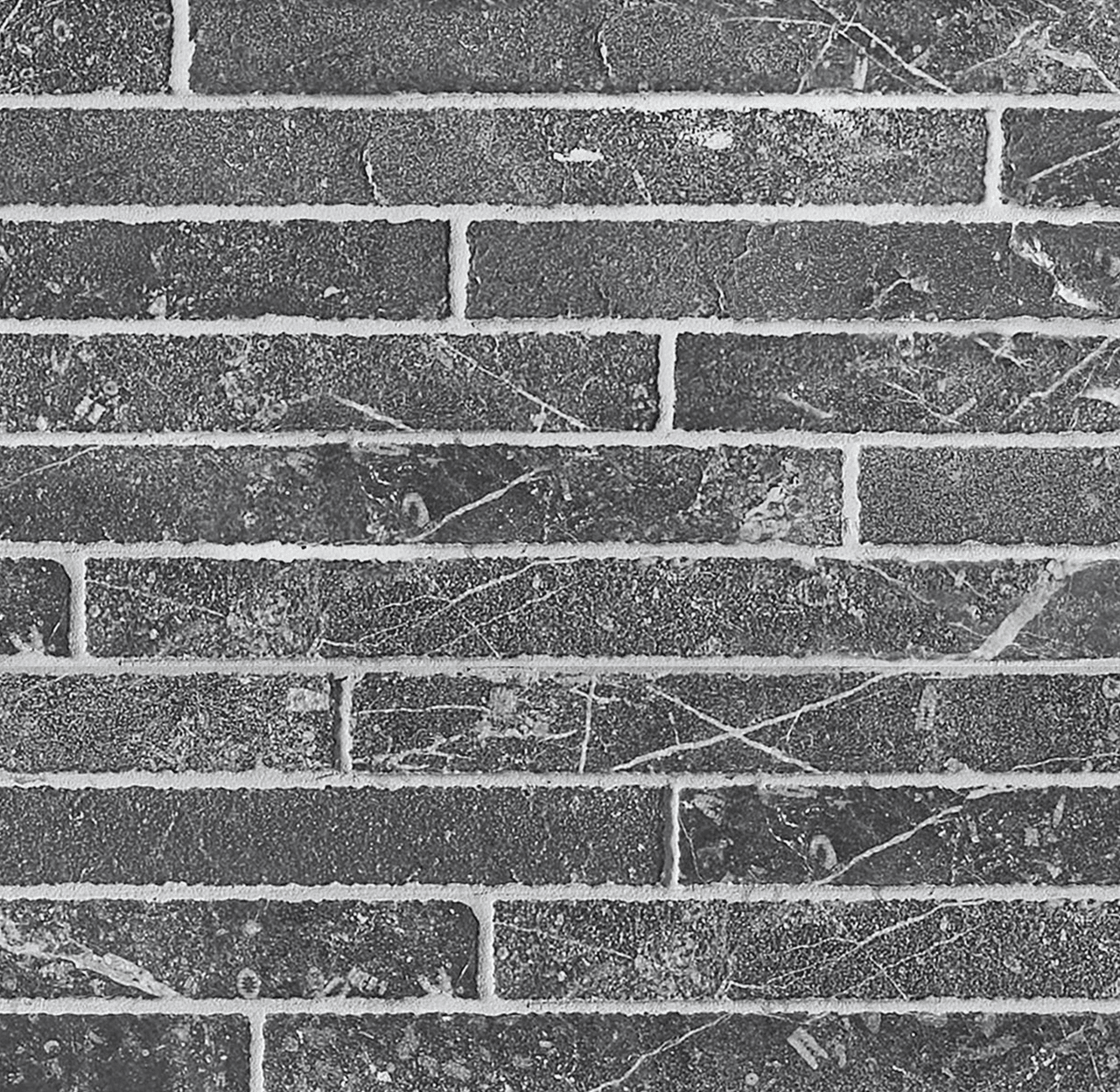 Daly Stone Brick Walling | Eco Outdoor